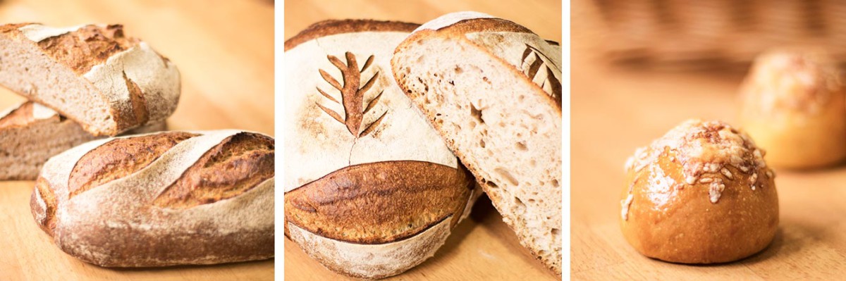 La fermentación en panadería: Que es y como usar fermentos naturales ...