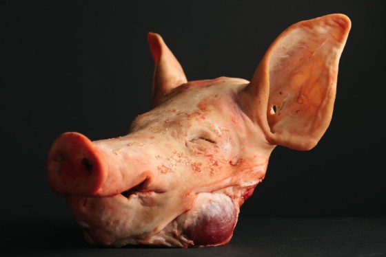 Cómo utilizar las partes menos nobles del cerdo en la cocina - Scoolinary